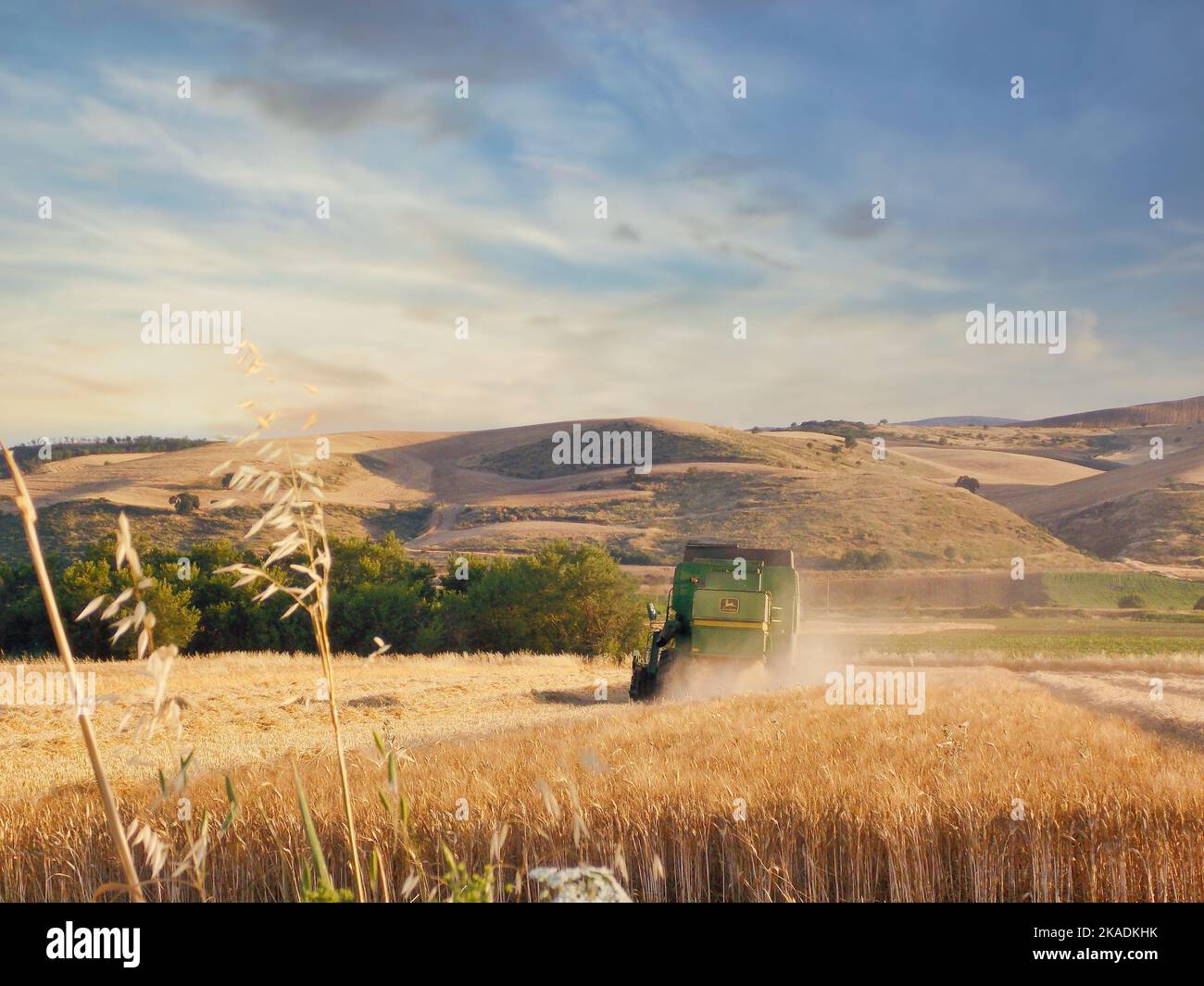 Combine harvester, wheat harvest, in a plain of Larissa. Greece Stock ...