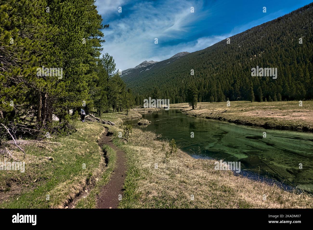 Serene meadows hi-res stock photography and images - Alamy