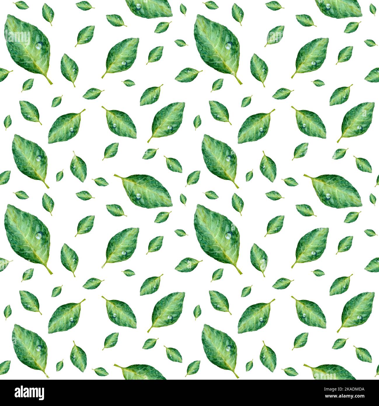 Vintage leaf pattern Cut Out Stock Images & Pictures - Alamy