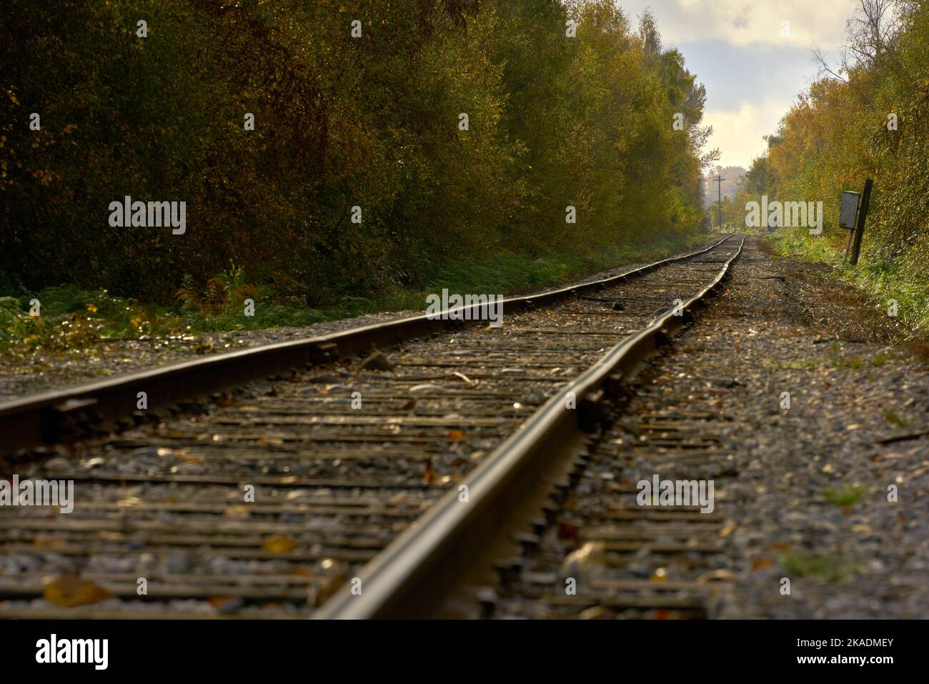 Train Tracks and Autumn Leaves. Train tracks through a rural, deciduous ...