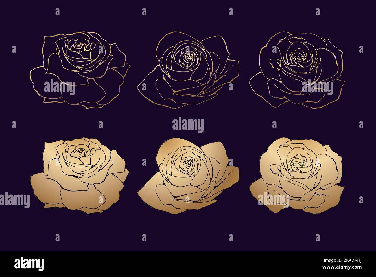 Roses hand drawing engraved. A blossoming rosebud. Golden vector ...
