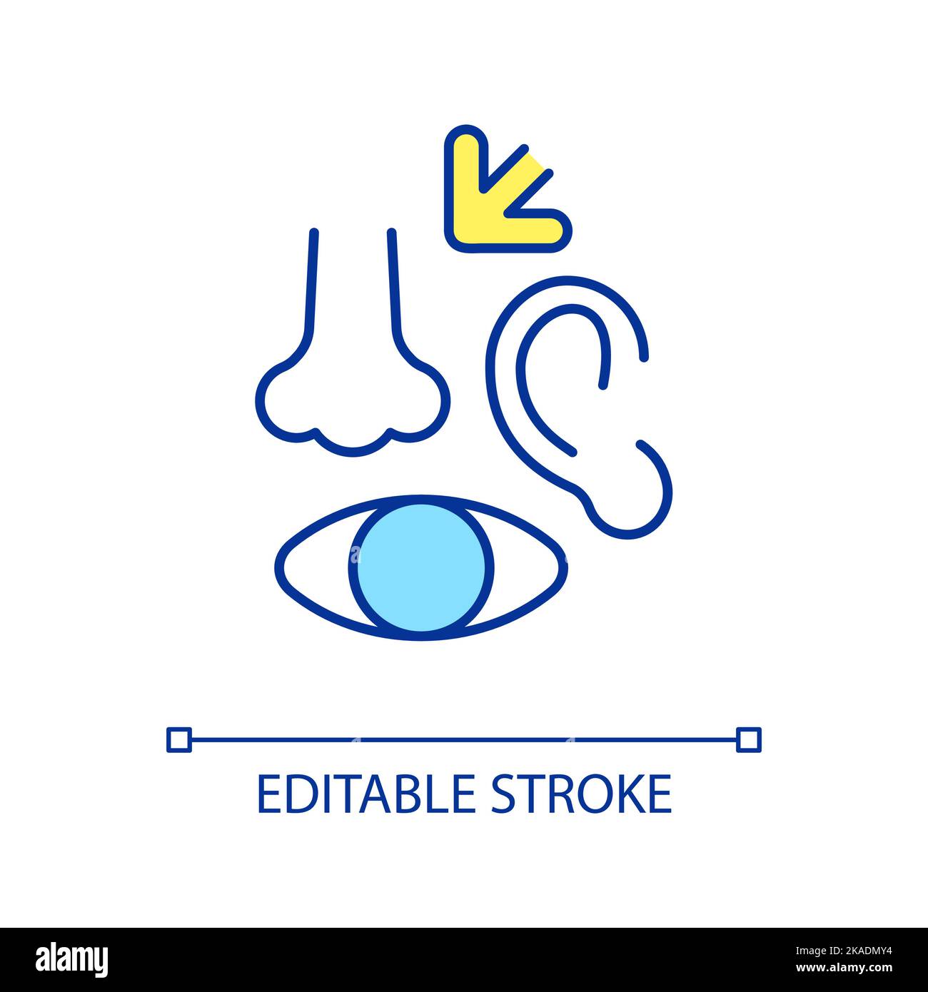 Organs smell sense Stock Vector Images - Alamy