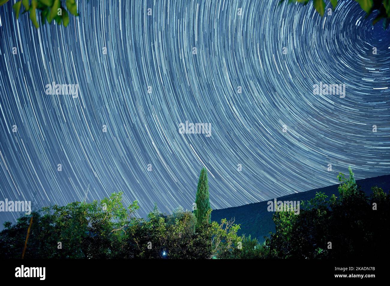 A beautiful starry sky view in blue color and some trees in front can ...