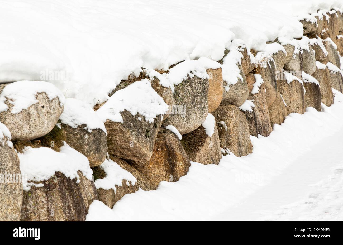 The landscape with snow in cold winter in Schluchsee, Germany Stock ...
