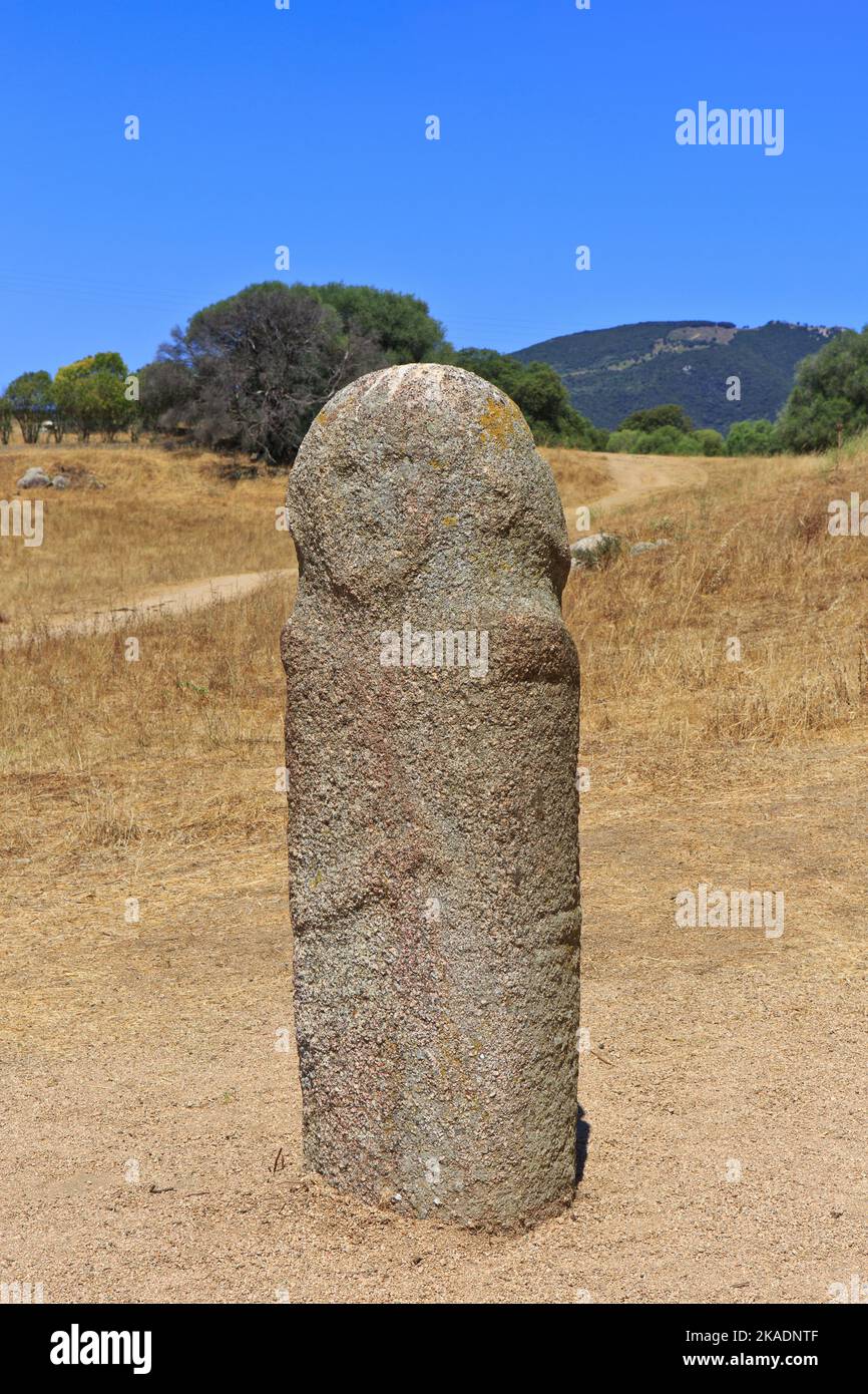 Close-up of a menhir with a carved human face at the megalithic site of ...