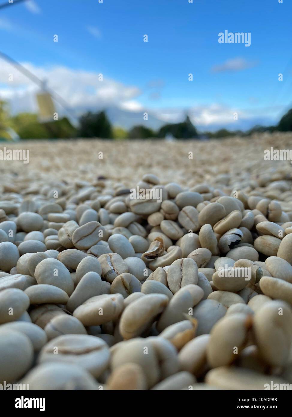 A vertical closeup shot of pebble stones with the blue sky in the ...