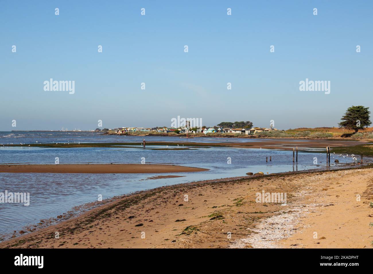 coastal landscape at low tide Stock Photo - Alamy