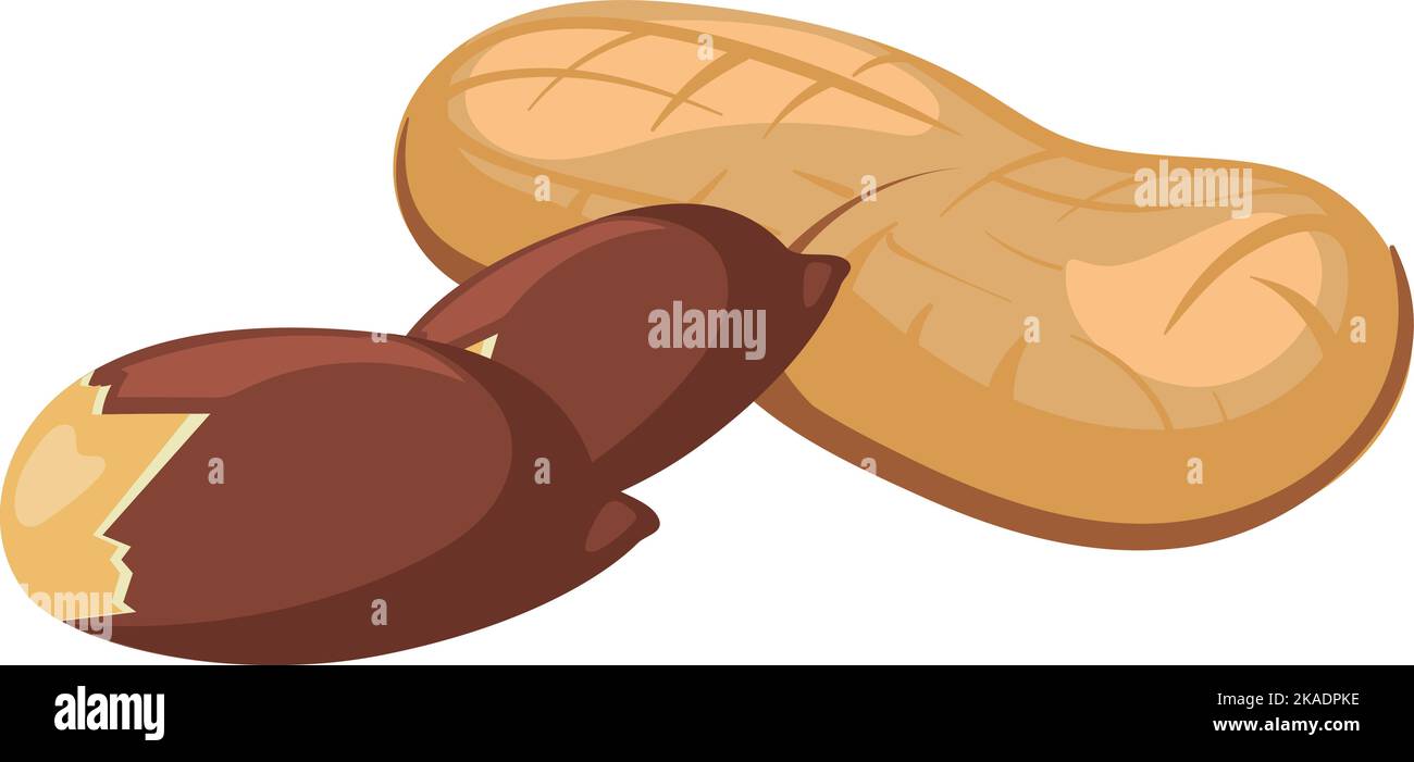 Peanut icon. Cartoon nutshell and peeled nut Stock Vector Image & Art ...