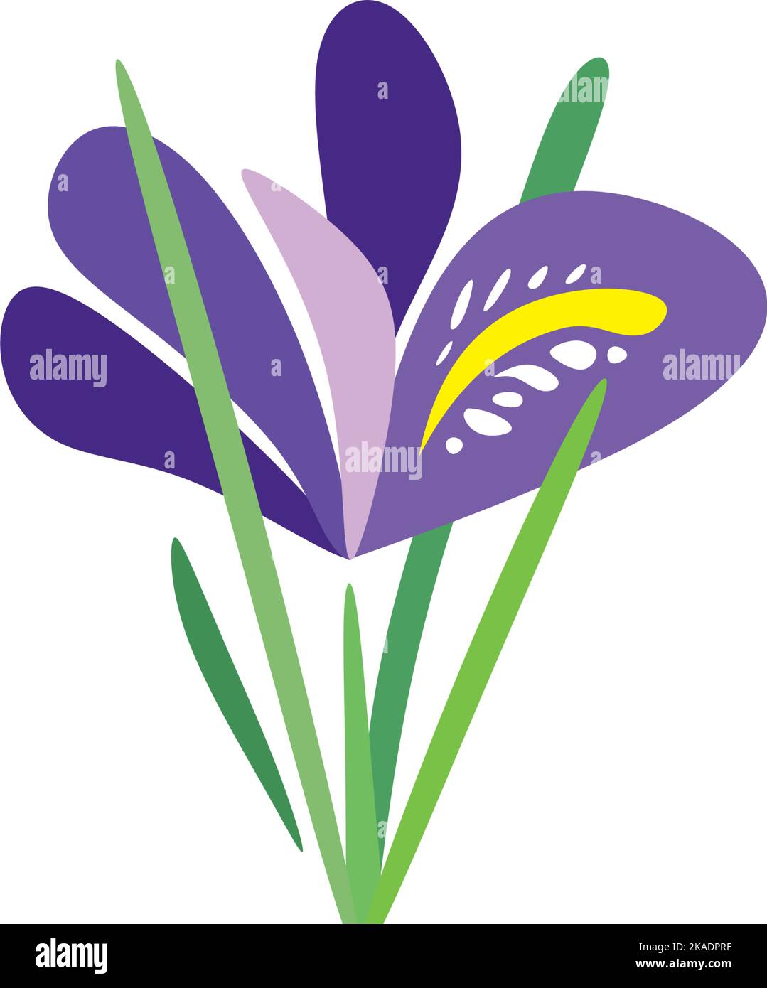 Iris plant Stock Vector Images - Alamy