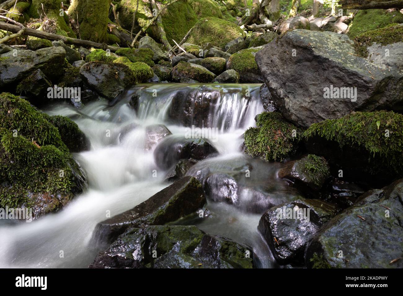 A breathtaking view of a small waterfall flowing through the moss ...