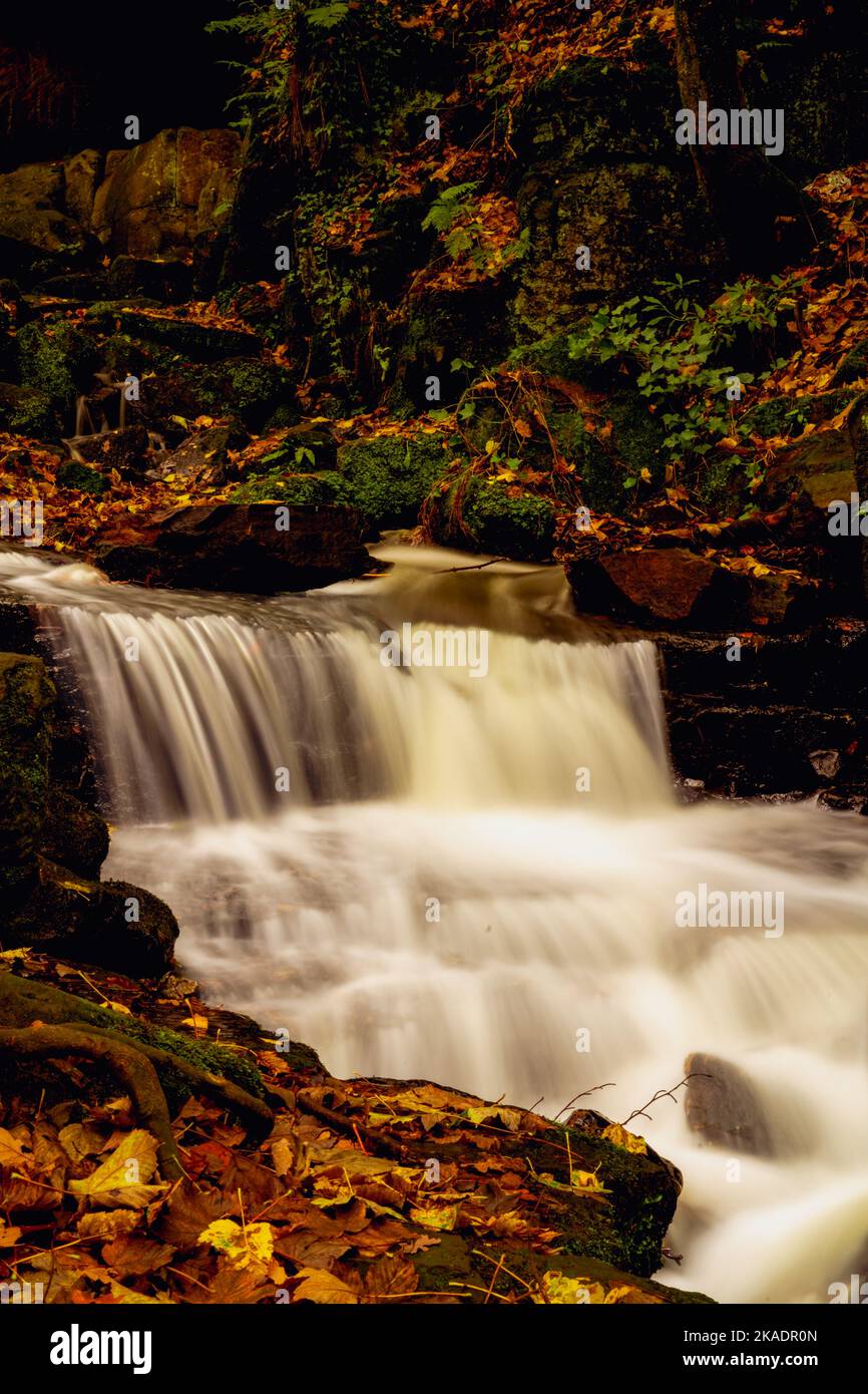 Lumsdale Fall, Matlock Derbyshire, England Stock Photo - Alamy