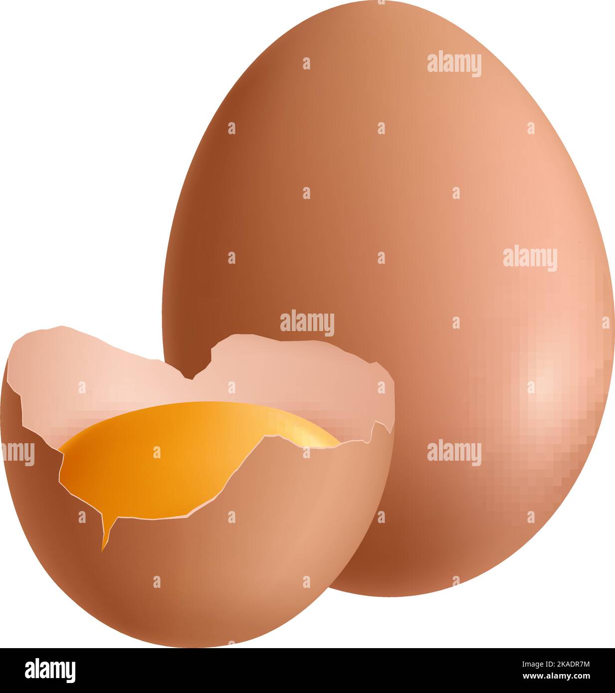 Brown whole and half chicken egg with yolk realistic vector illustration Stock Vector Image ...