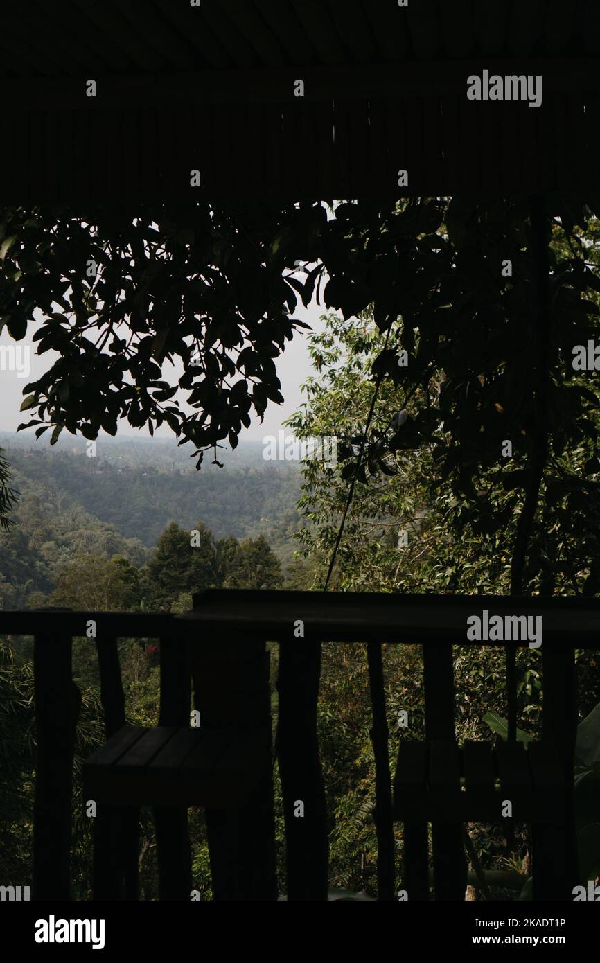 Bali cafe surrounded by greenery, organic cafe, tropical warung ...