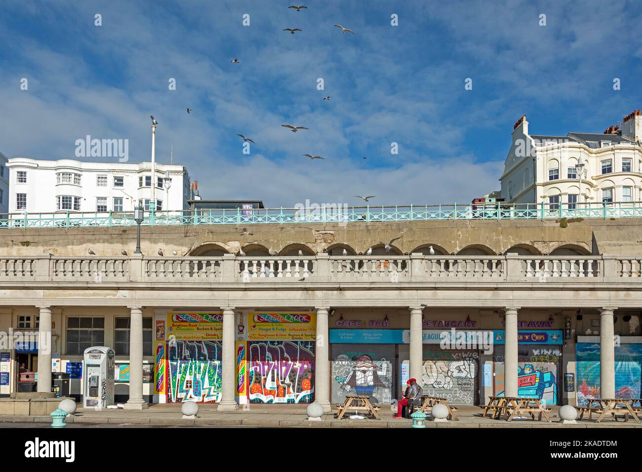 Flying seagulls, Seafront, Brighton, East Sussex, England, Great ...
