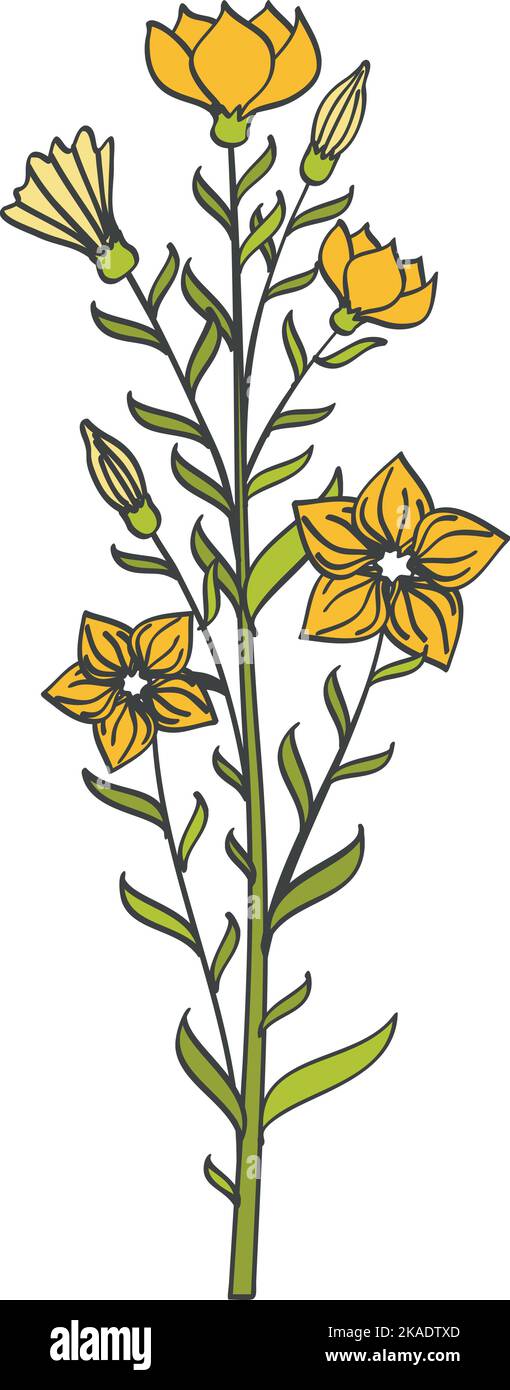 Yellow crop plant growing Cut Out Stock Images & Pictures - Alamy