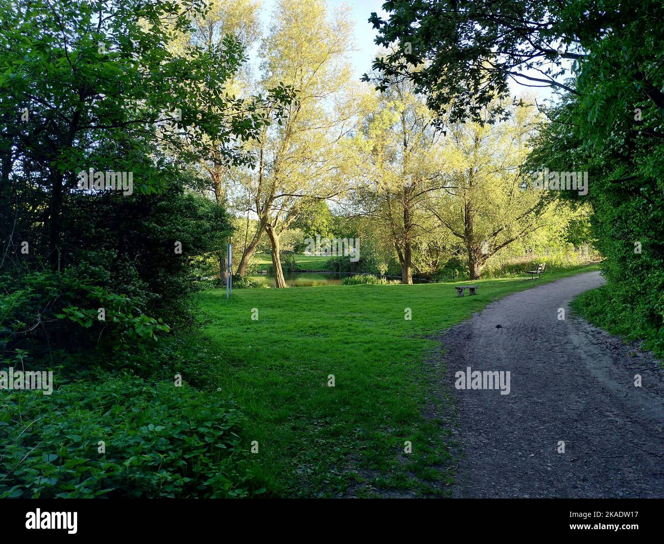 A long walking trail in a bright green park Stock Photo - Alamy