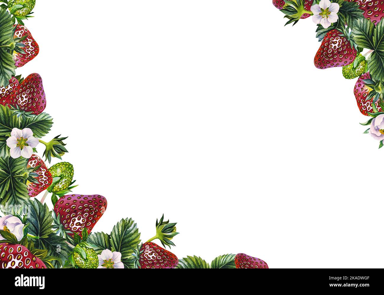 Frame with strawberries. Watercolor illustration. For design solutions ...
