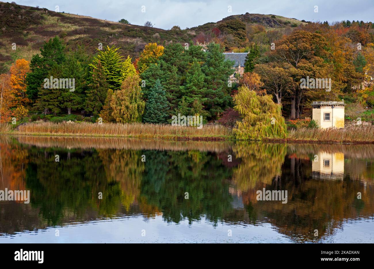 Bawsinch, Duddingston Loch, Edinburgh, Scotland, UK Stock Photo - Alamy