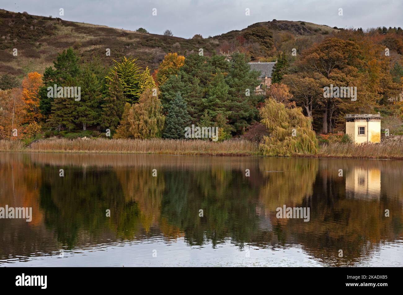 Bawsinch, Duddingston Loch, Edinburgh, Scotland, UK Stock Photo - Alamy