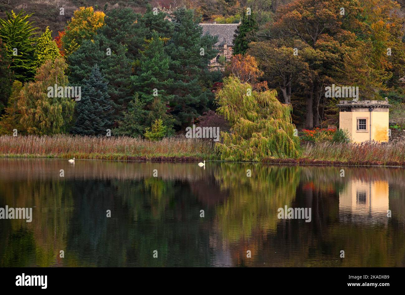 Bawsinch, Duddingston Loch, Edinburgh, Scotland, UK Stock Photo - Alamy