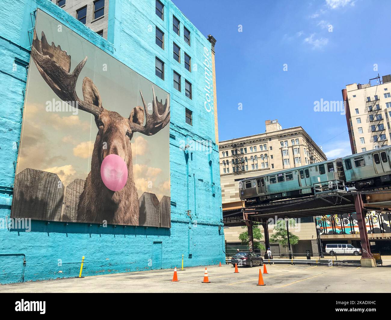 Moose bubble gum bubble hi-res stock photography and images - Alamy
