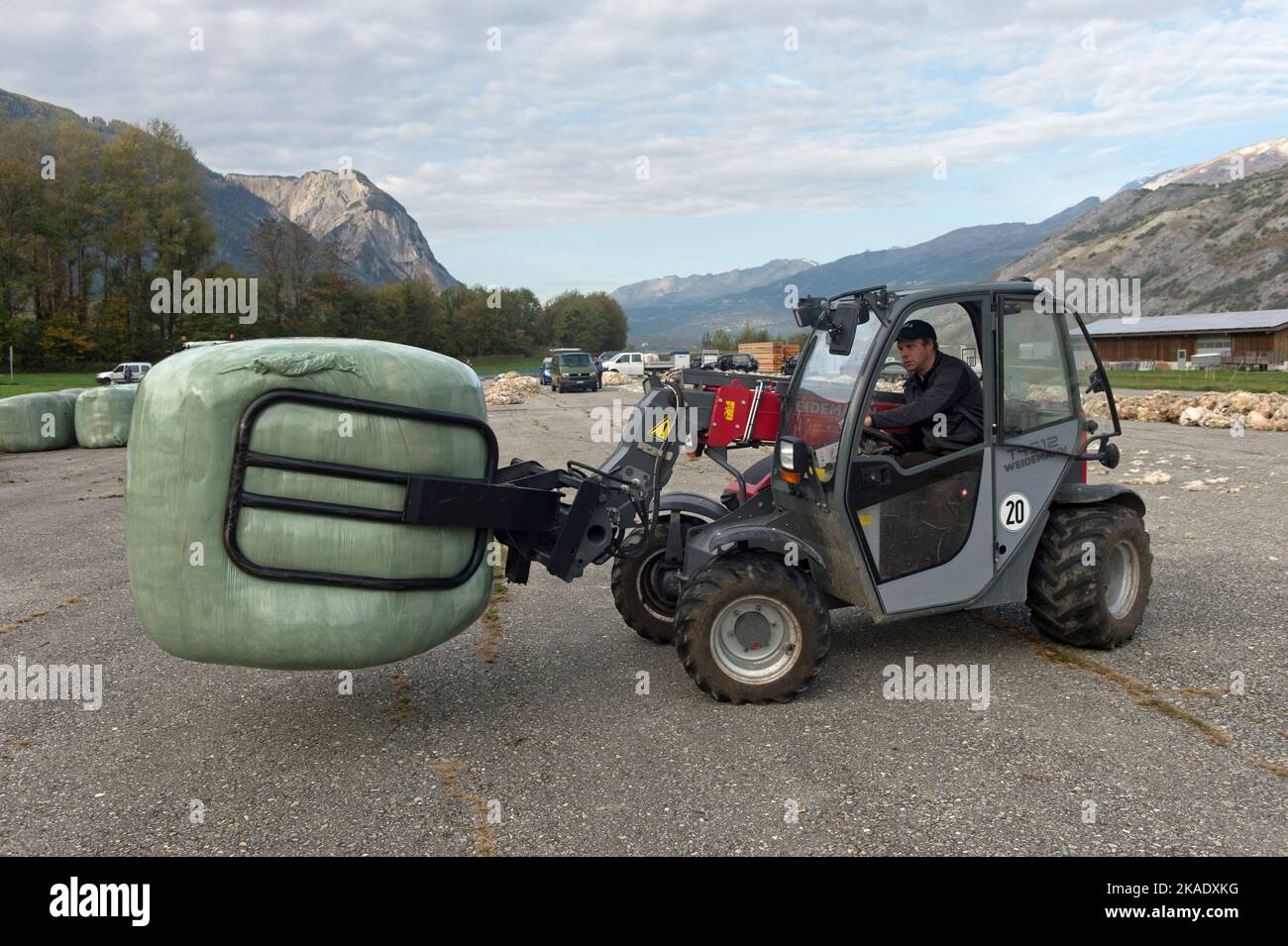 Telehandler transports a bale of wool, delivery of wool from Valais ...