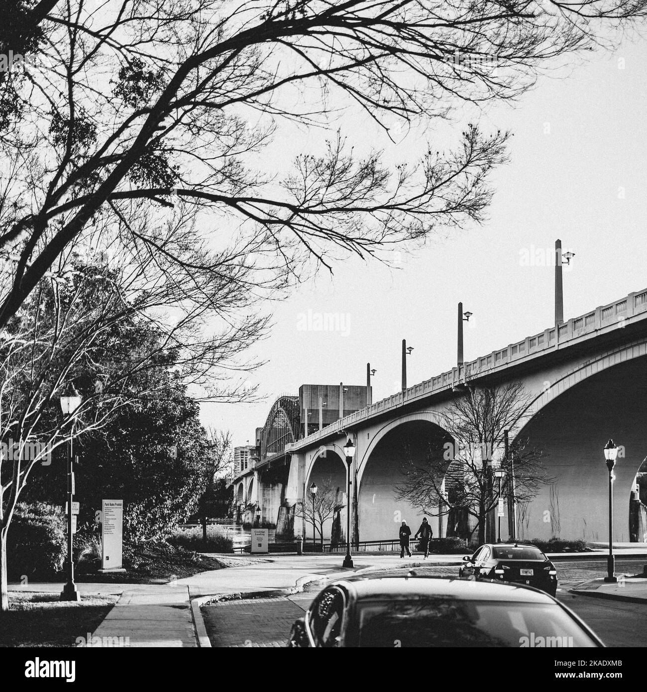 A view of footpath surrounded by trees near bridge in black and white ...