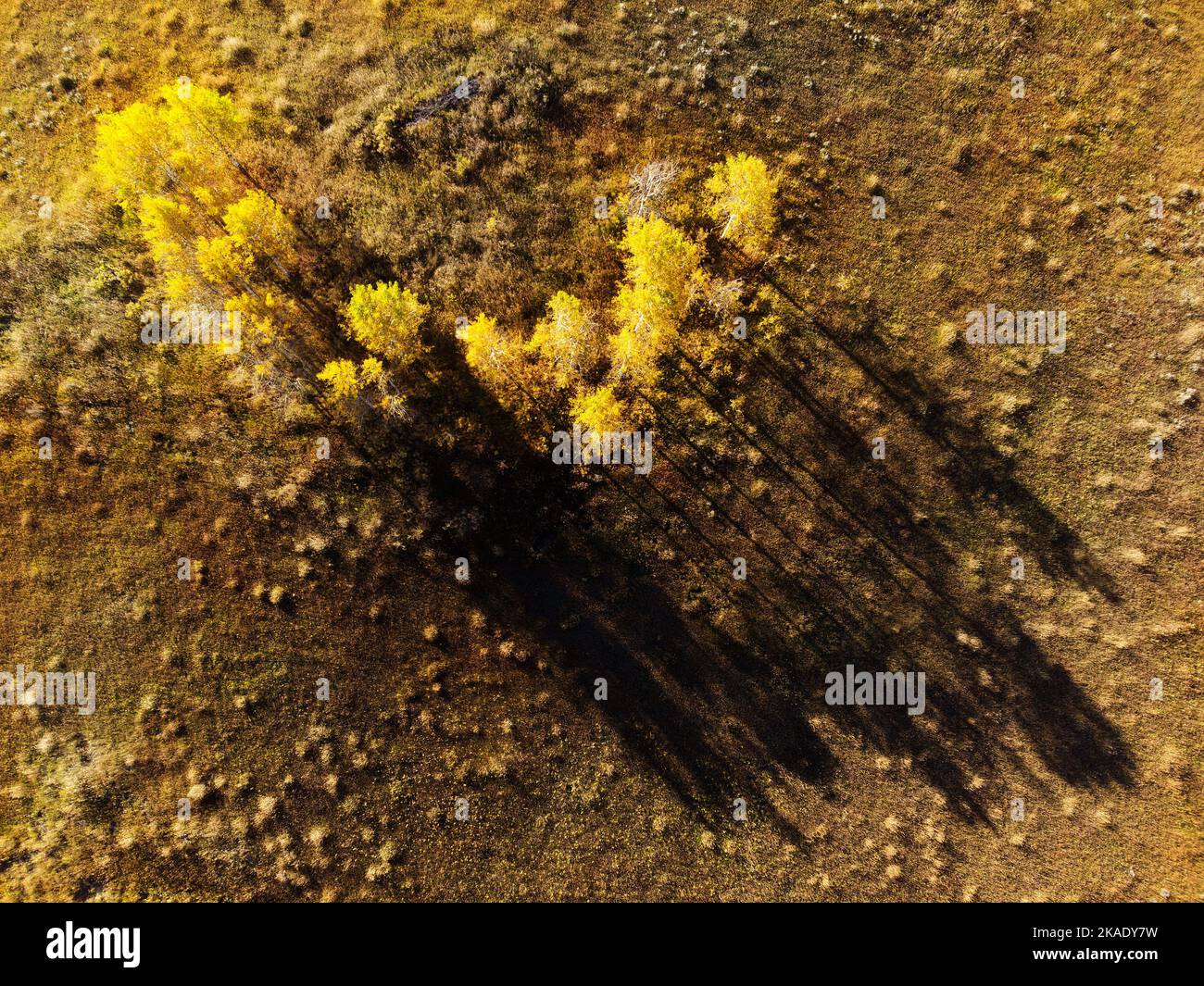 Forres mountain hi-res stock photography and images - Alamy