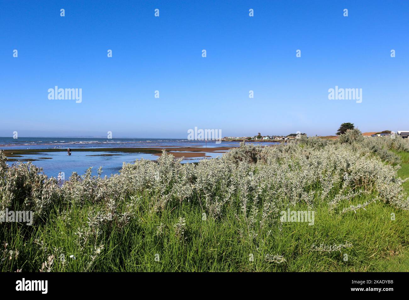 coastal landscape with beach and vegetation on foreshore Stock Photo ...