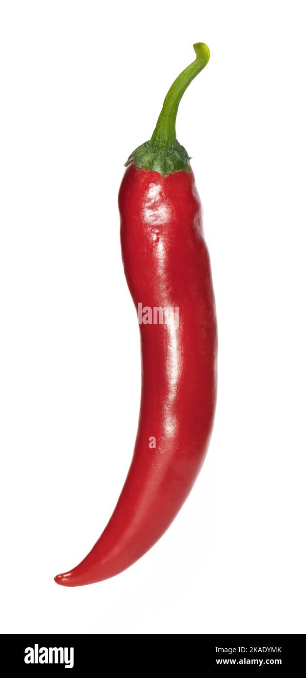 Single bright ripe red chili pepper isolated on white Stock Photo - Alamy