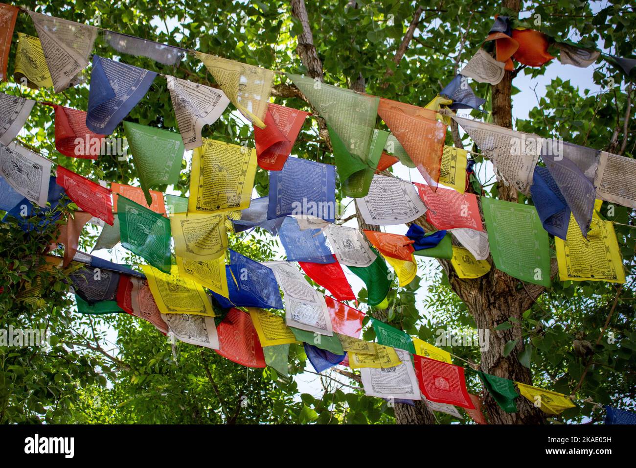 A low angle shot of colorful prayer flags hanging from trees Stock ...