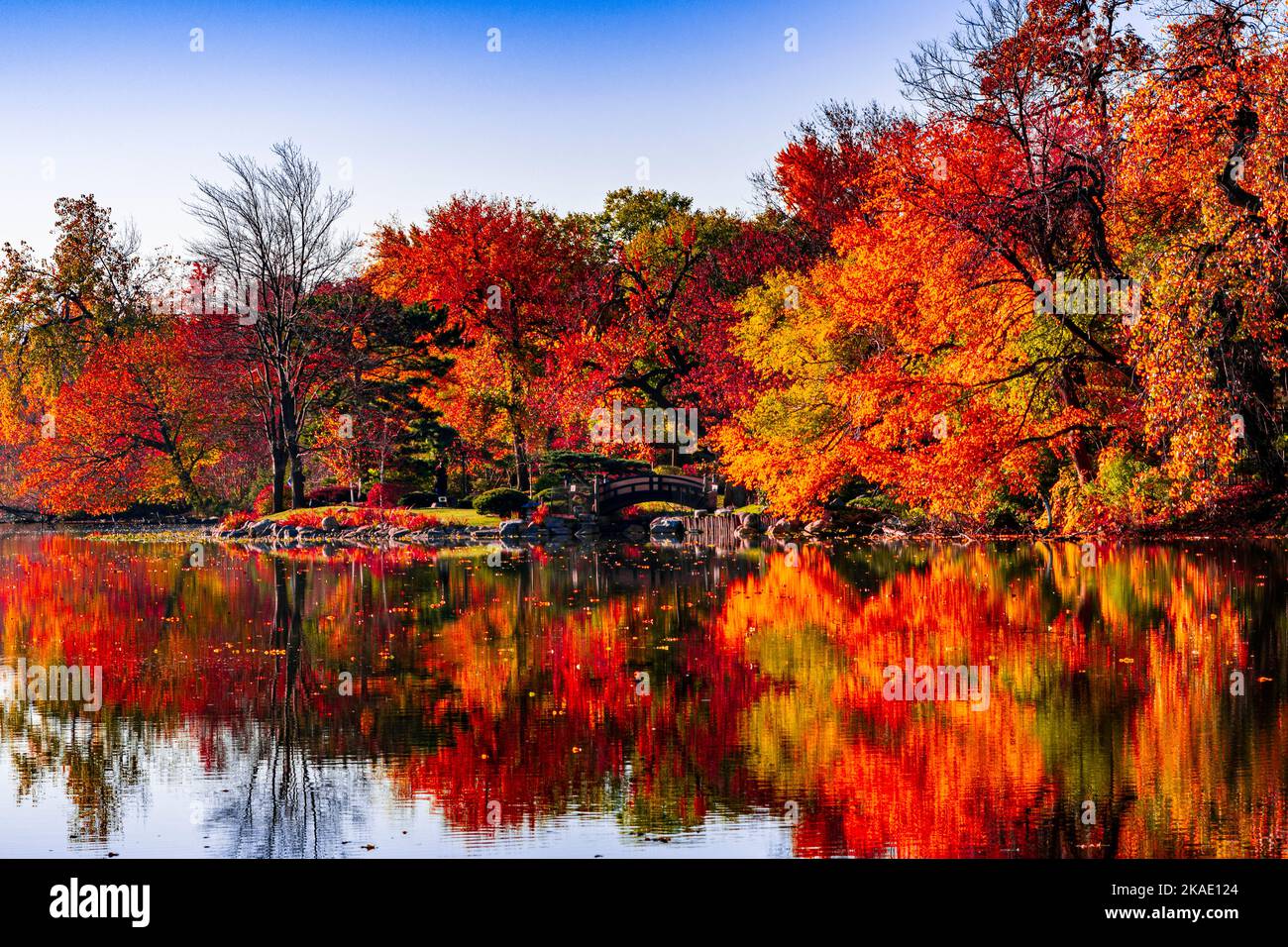 Shot of a pedestrian bridge inside a small park next to a pond during ...