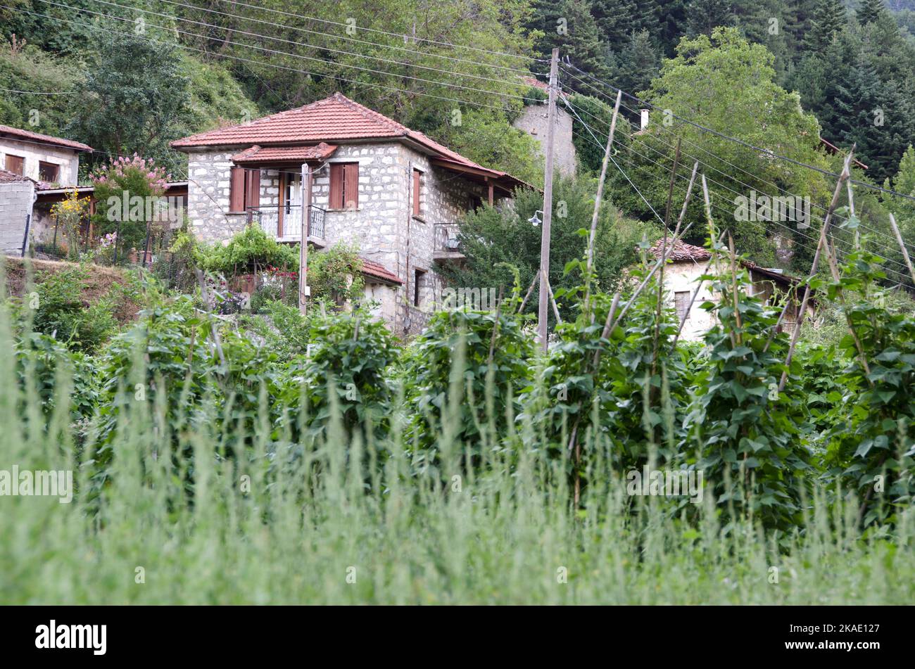Zarouhla hi-res stock photography and images - Alamy