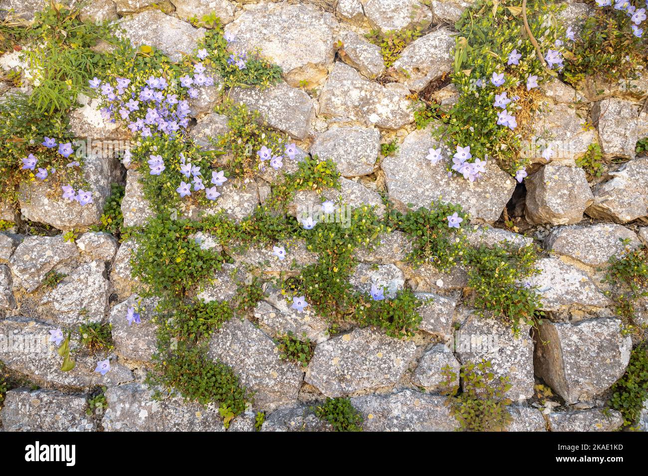 A background image of a very eroded stone well with green vegetation ...