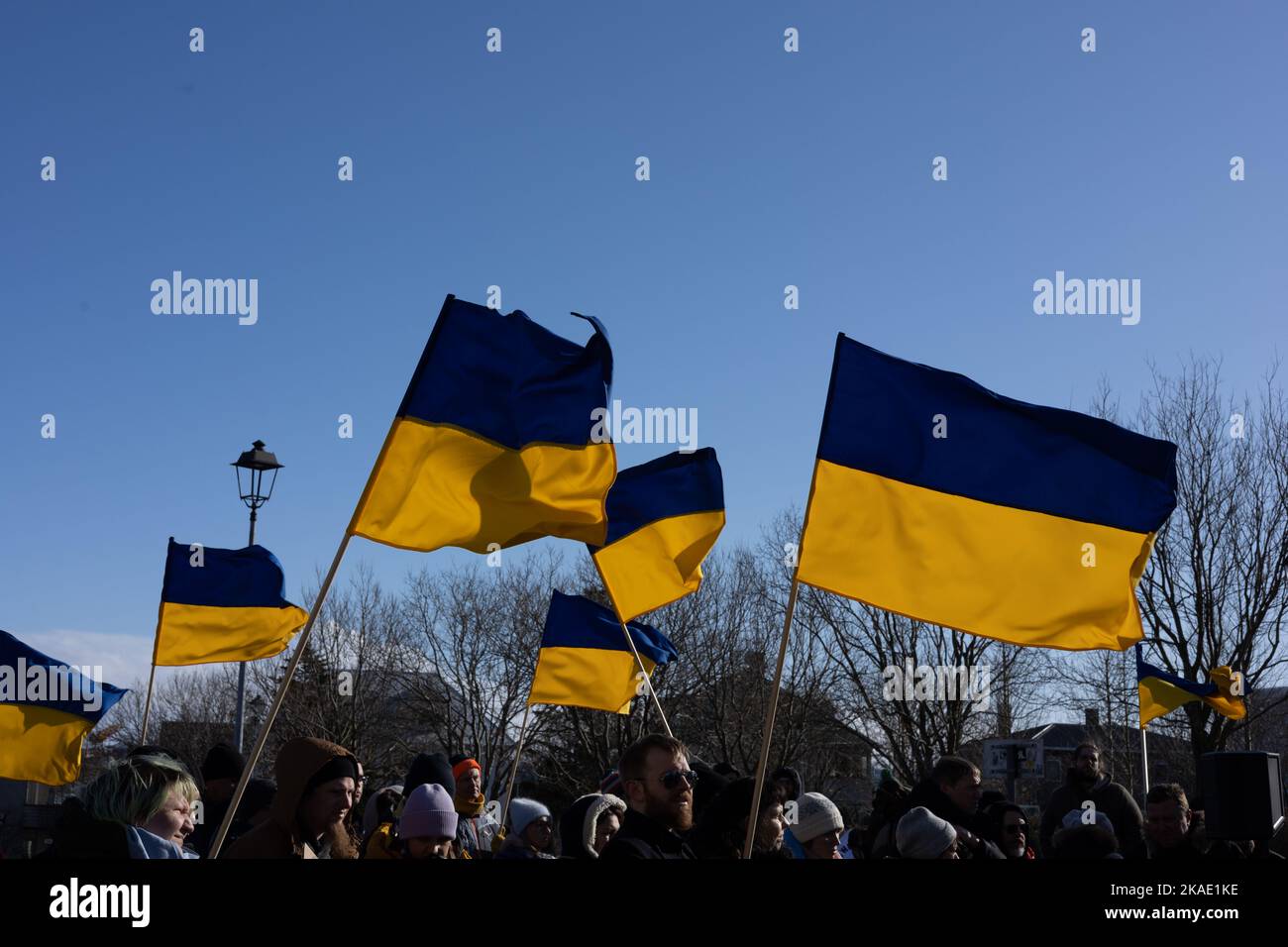 Ukrainian flag waving in wind hi-res stock photography and images - Alamy