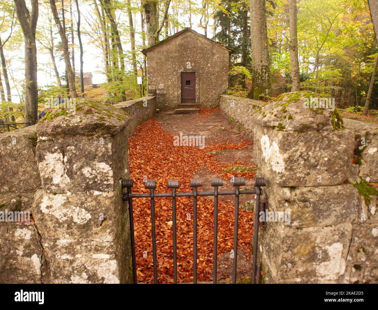 Italy, Tuscany, Arezzo, Casentino district, the Sanctuary of La Verna ...