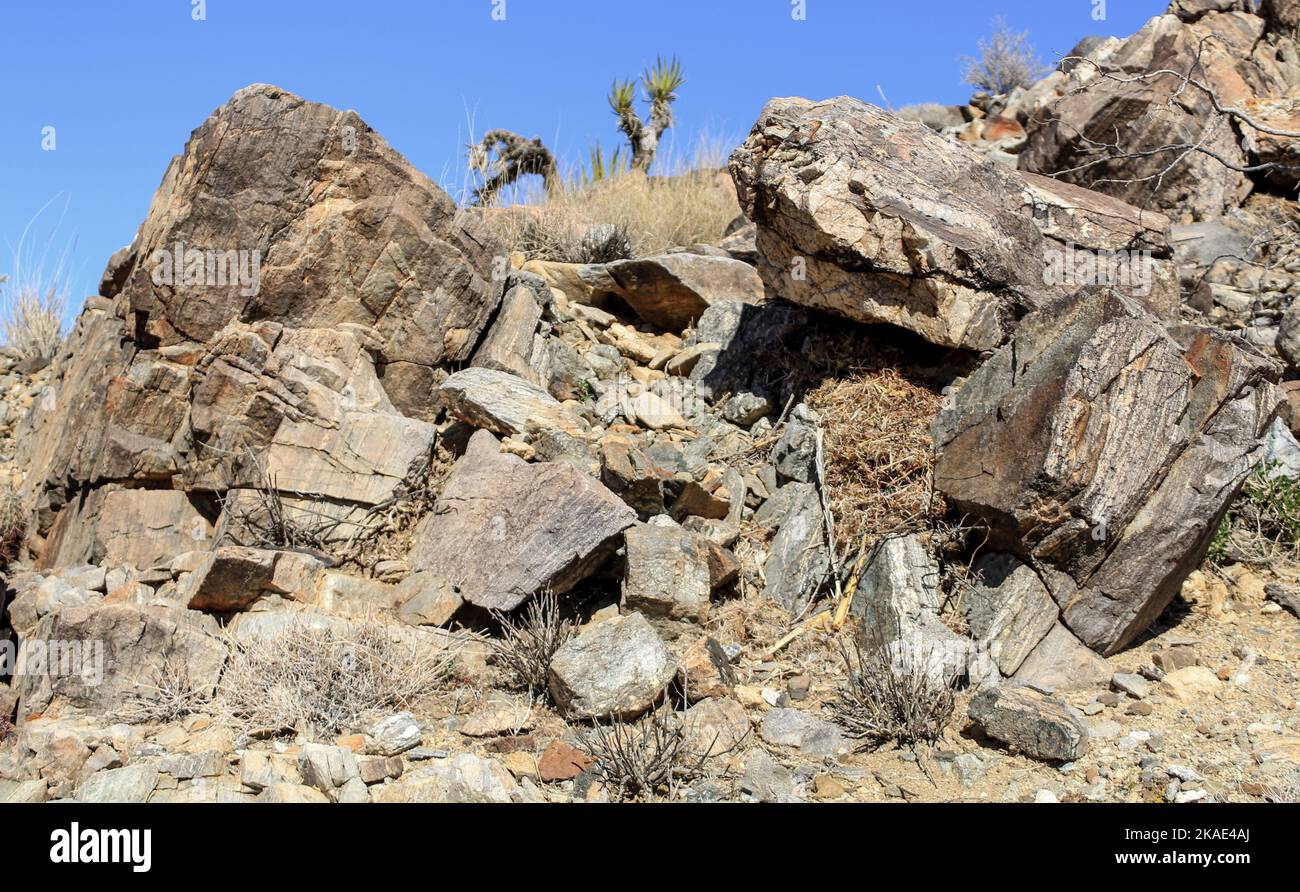 Jumble of Pinto Gneiss in Joshua Tree National Park in California Stock ...
