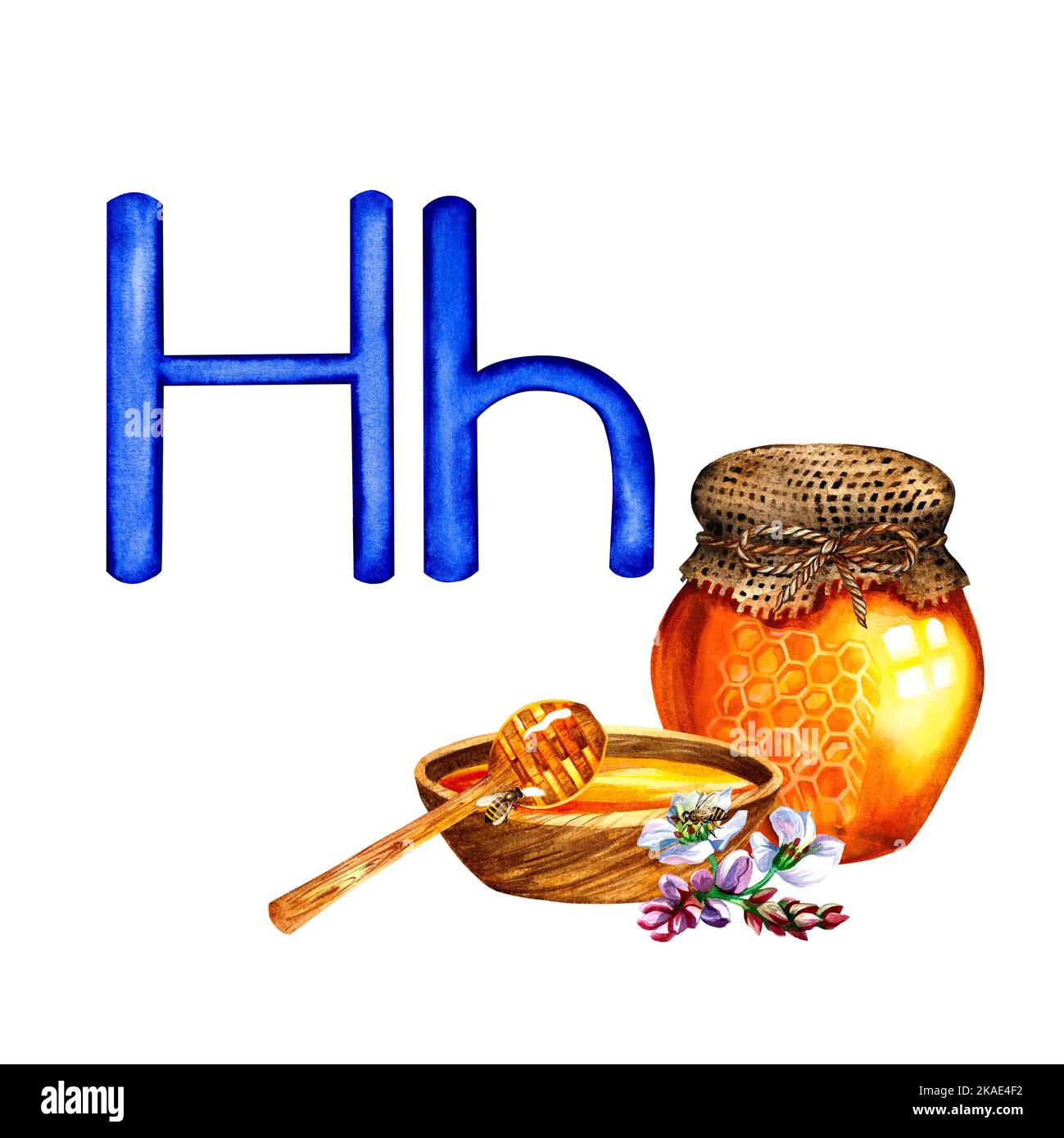 Letter H uppercase and lowercase with a picture of honey. Watercolor ...