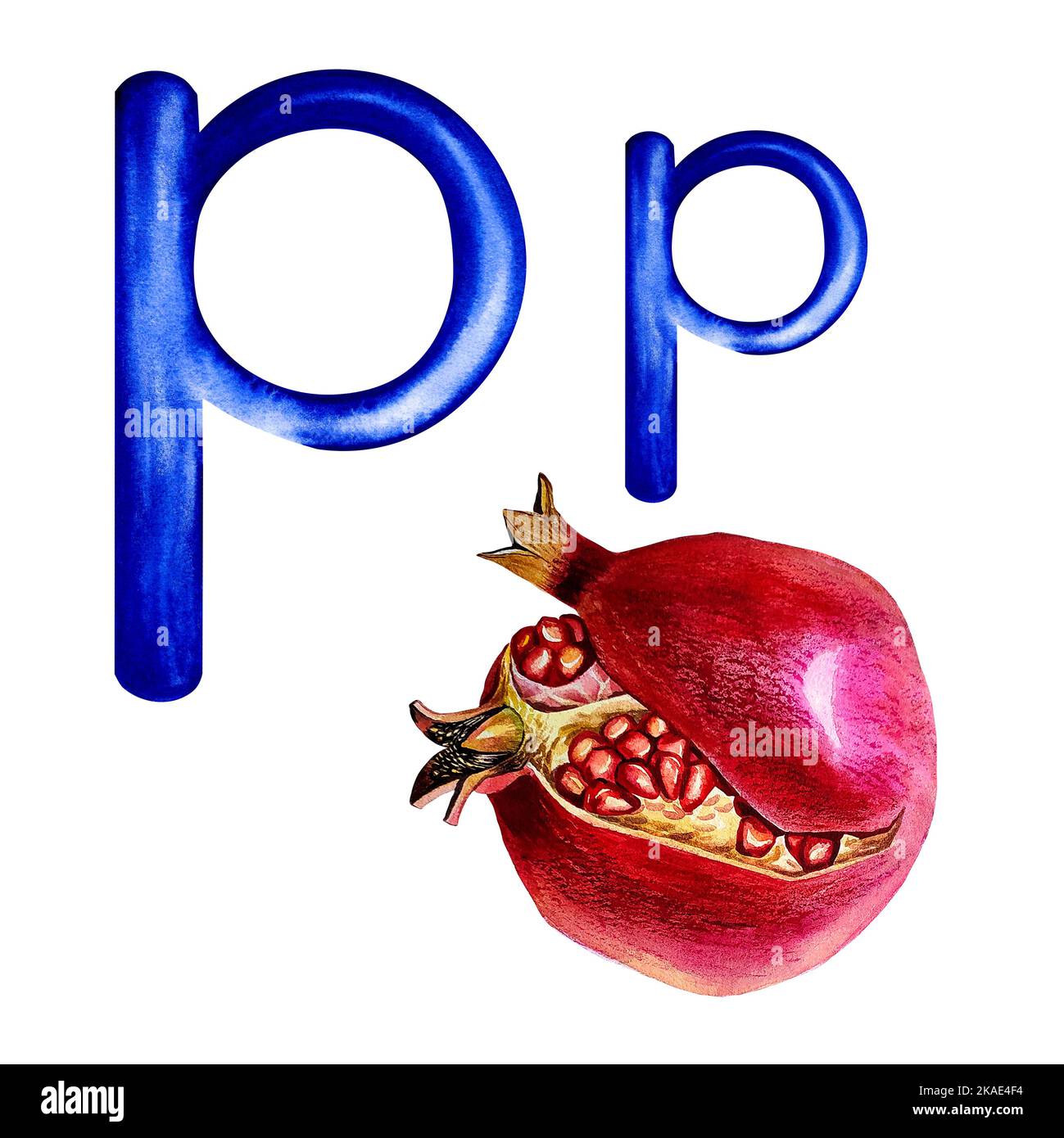 The letter P is uppercase and lowercase with the image of a pomegranate ...
