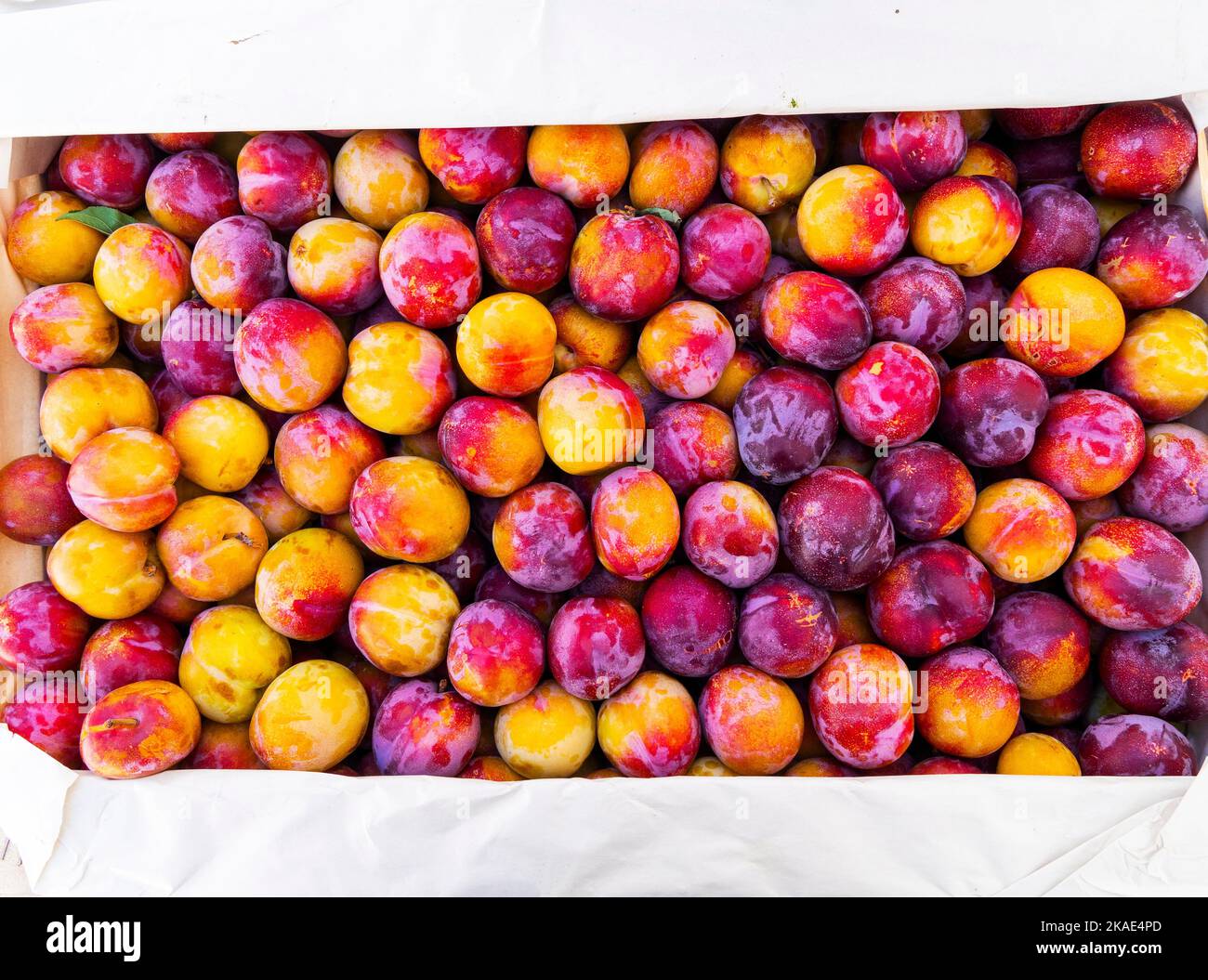 Red and yellow ripe plums in boxes on the counter for sale.Healthy ...