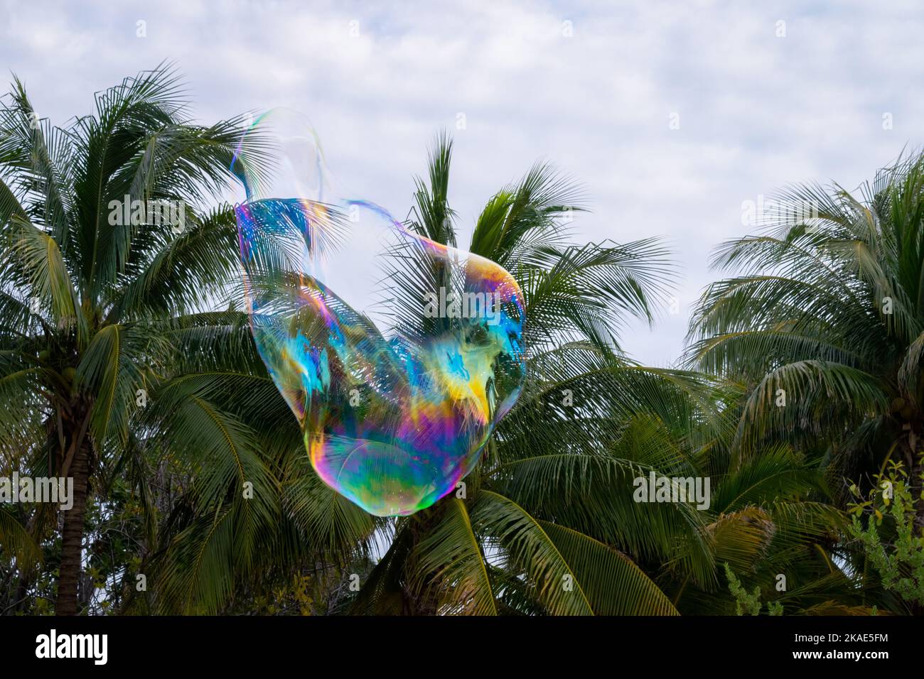 A giant soap bubble in the air with palm trees in the background in ...