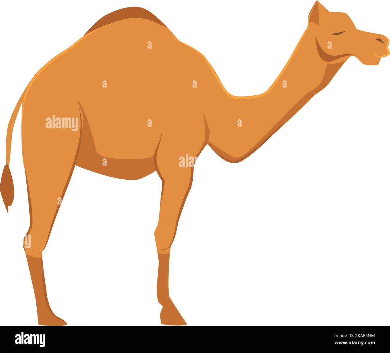 Camel sticker Cut Out Stock Images & Pictures - Alamy