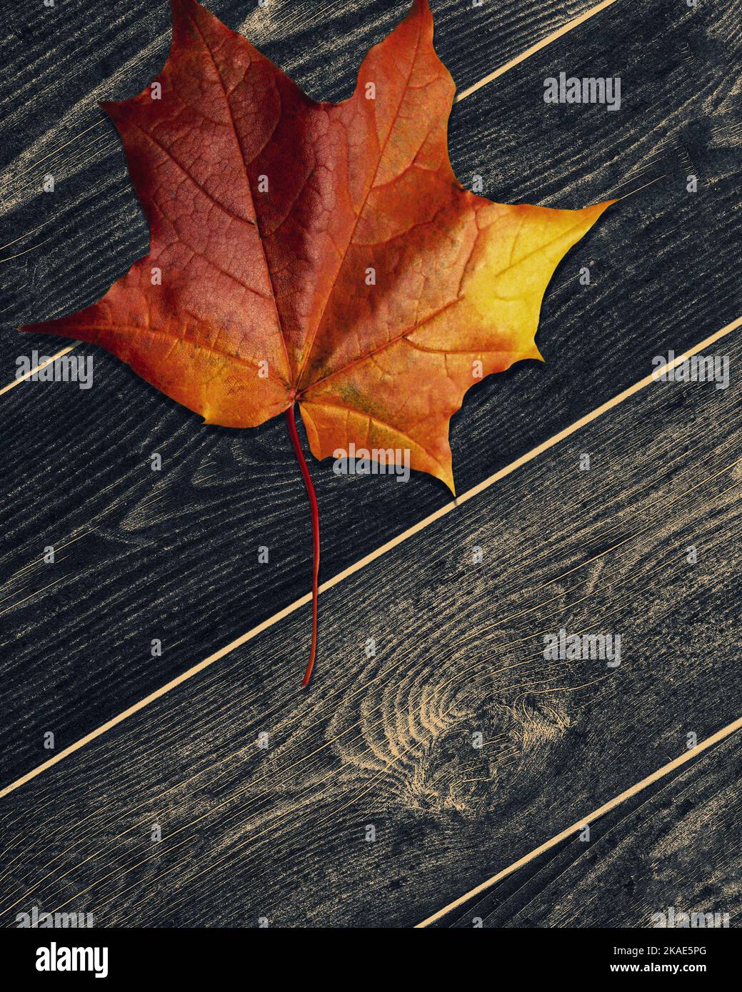 Autumn leaf on wooden floor, close up, background texture Stock Photo ...