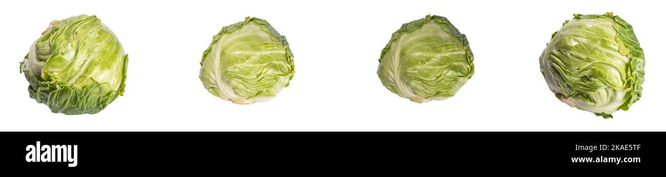 Green cabbage isolated. Set of fresh cabbages , on transparent white ...