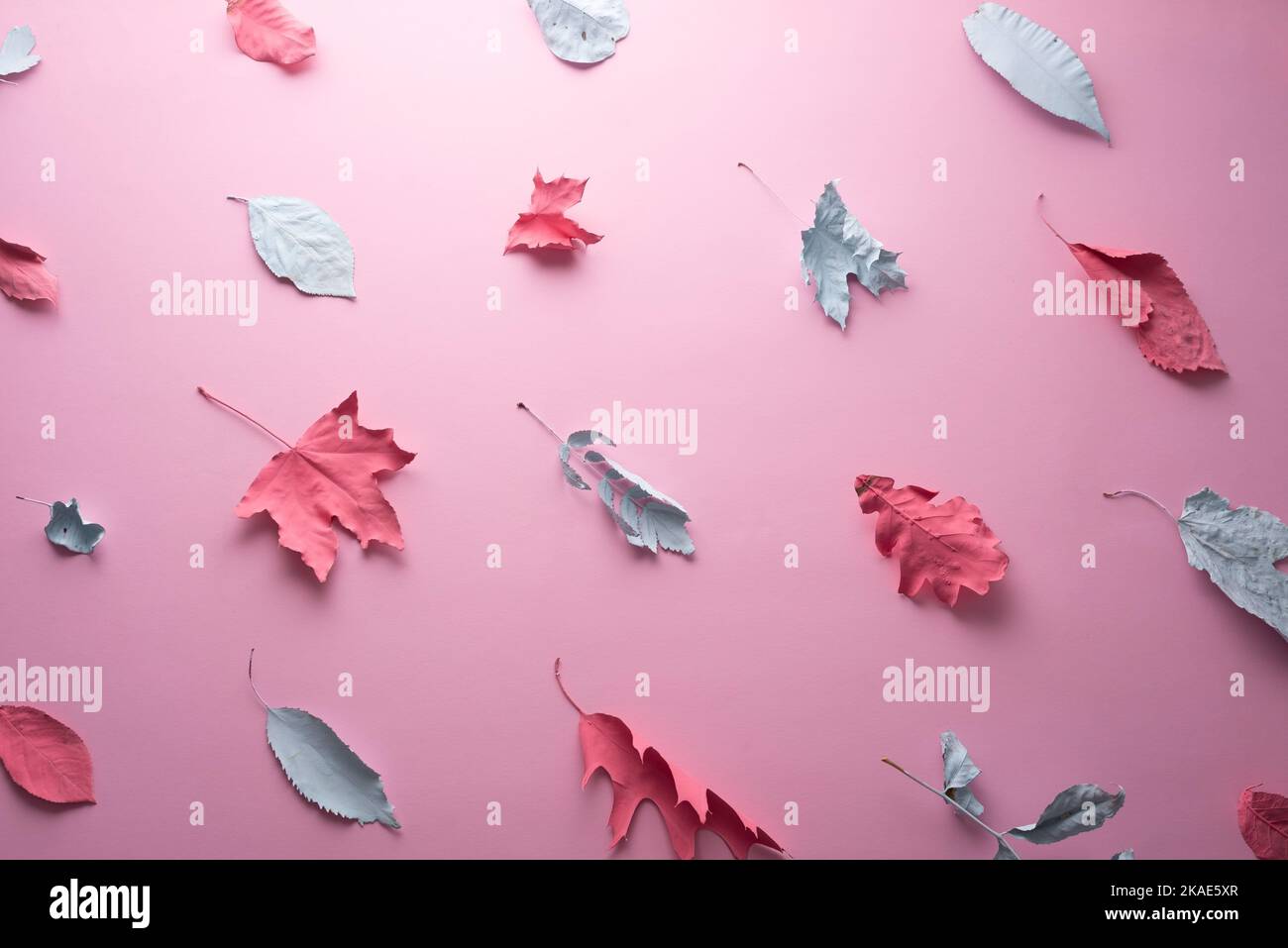 autumn leaves blue pink creative pattern paint Stock Photo - Alamy