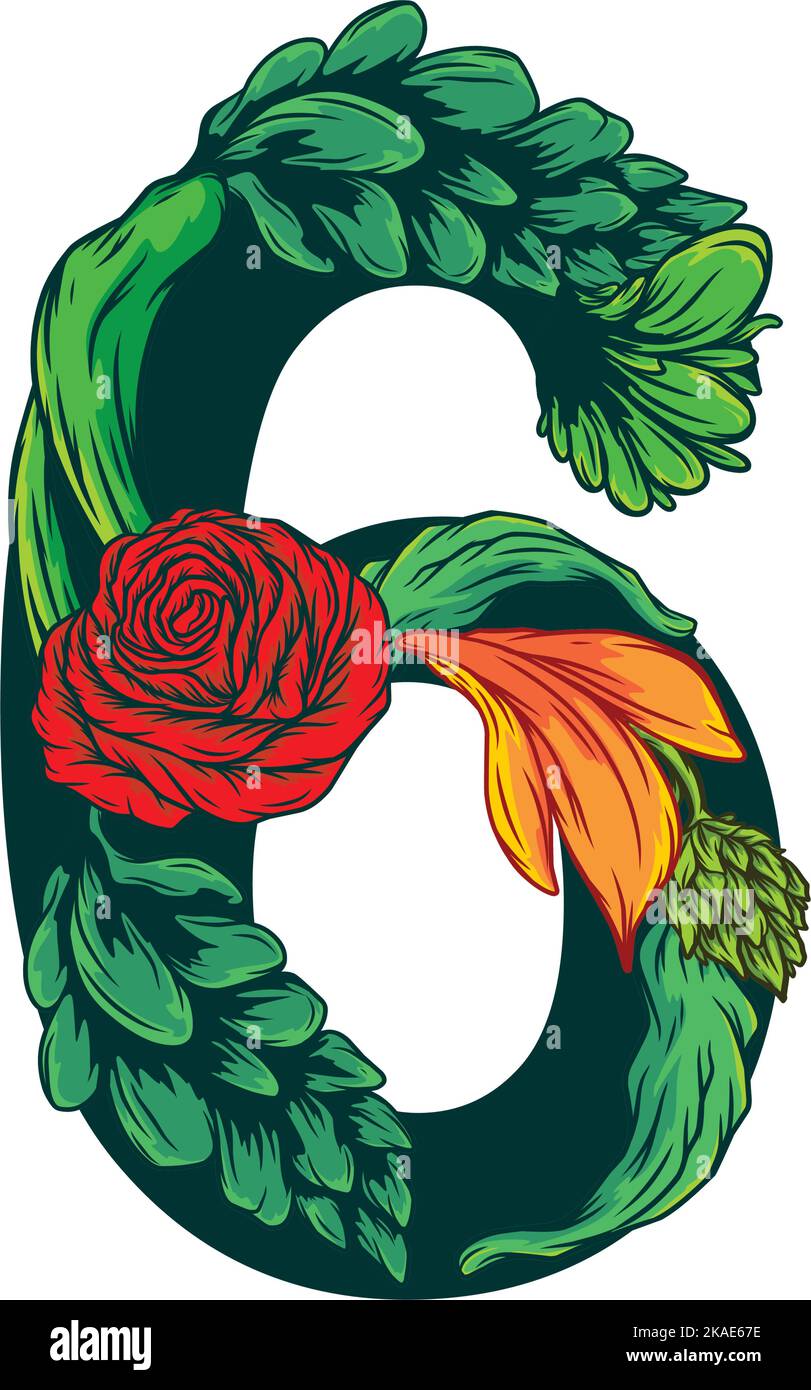 The number six with floral pattern isolated on white background ...