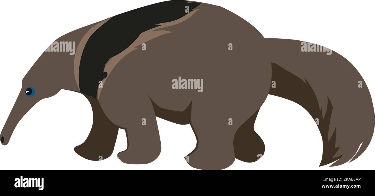 Anteater icon. Zoo animal symbol. Nature character Stock Vector Image ...