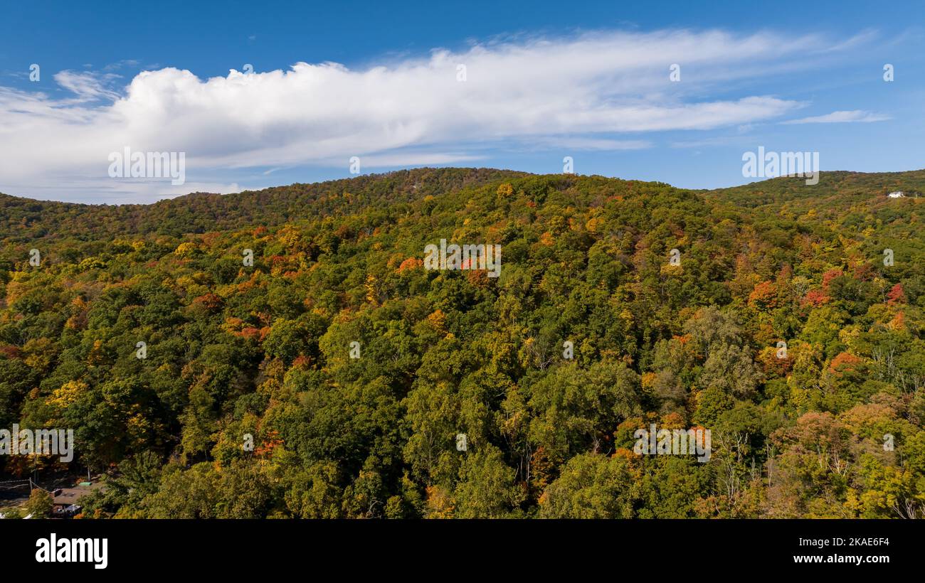 An aerial of trees in upstate New York during the colorful fall foliage ...