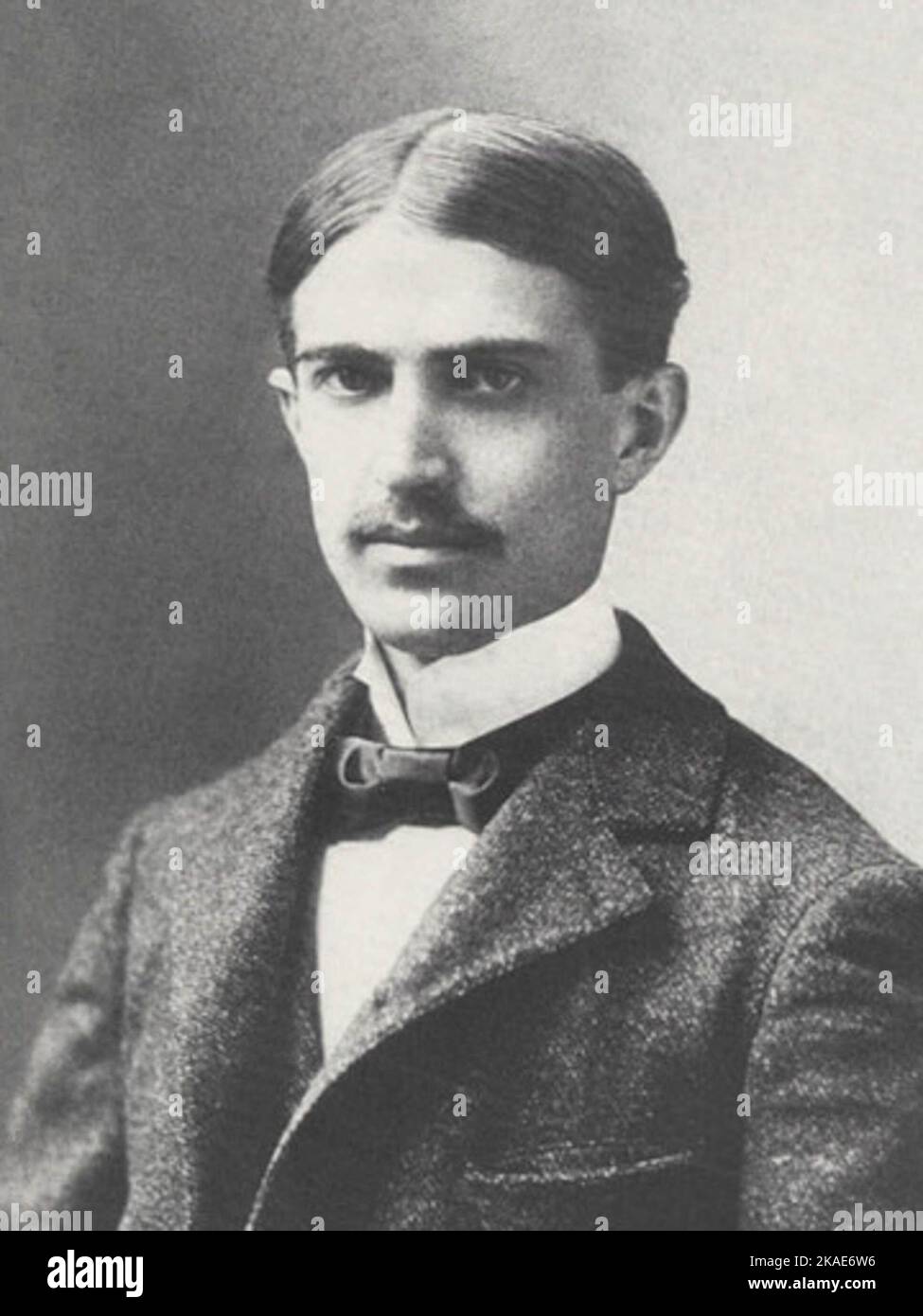 Formal portrait of Stephen Crane taken in Washington, D.C., about March ...