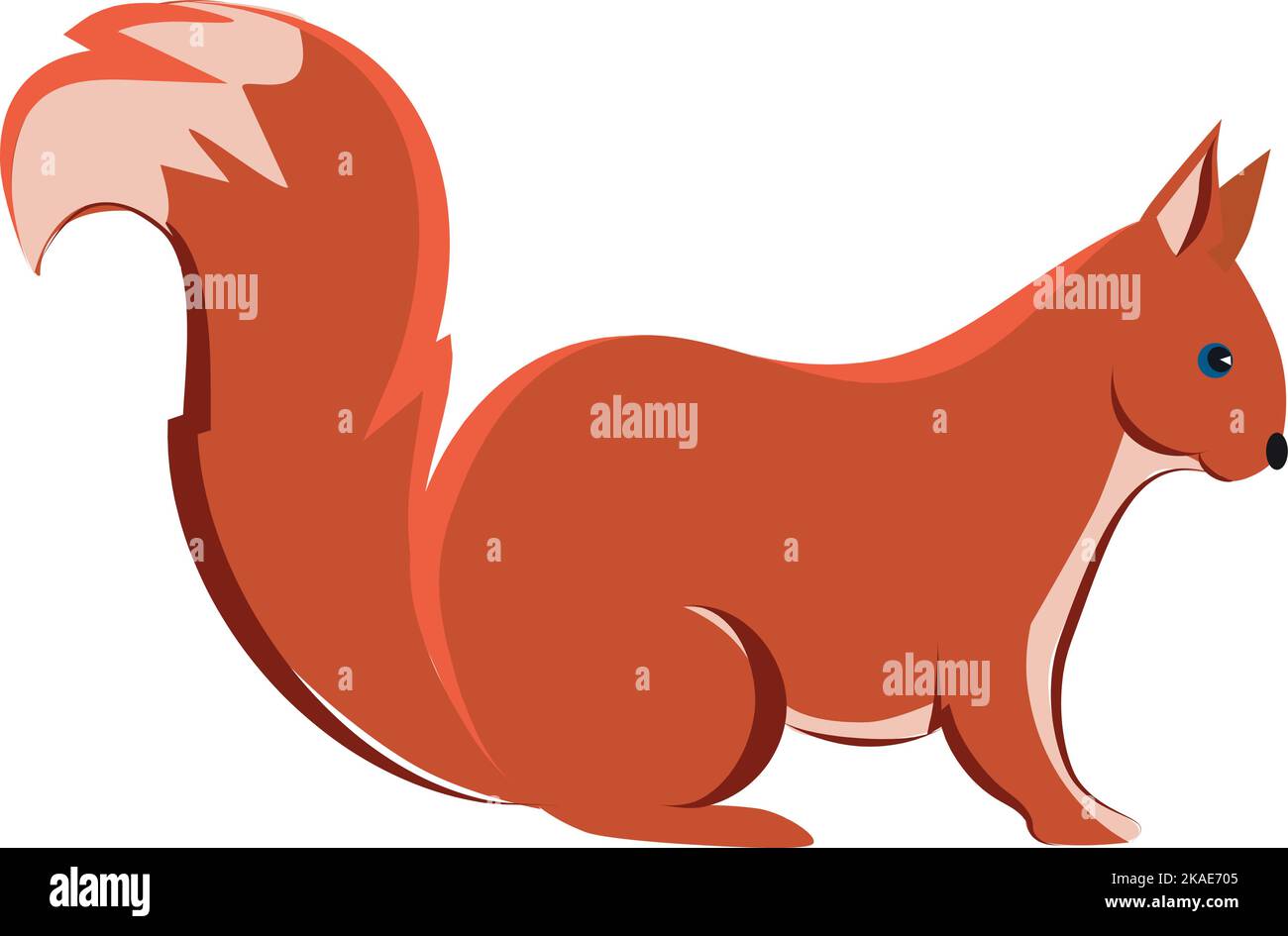 Squirrel icon. Cute forest animal. Wild fauna Stock Vector Image & Art ...